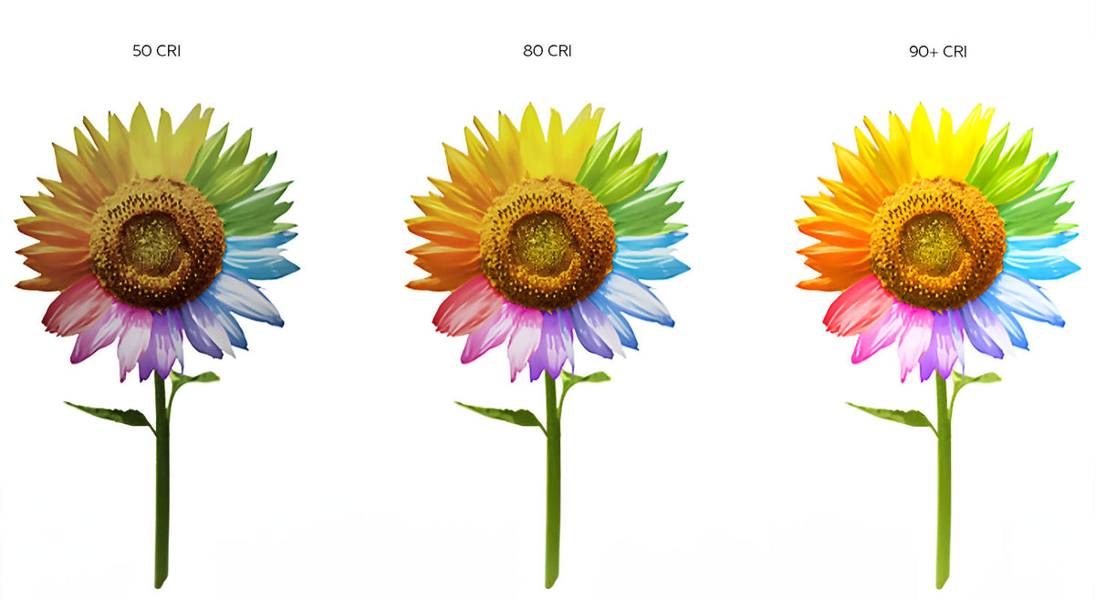 Understanding the Importance of Colour Rendering Index (CRI) in LED Li ...